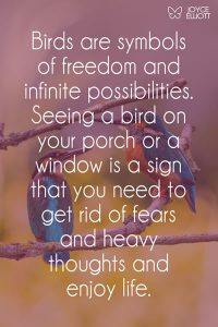 Bird symbolism & Meaning: 26 Symbolic Meanings Explained - Joyce Elliott