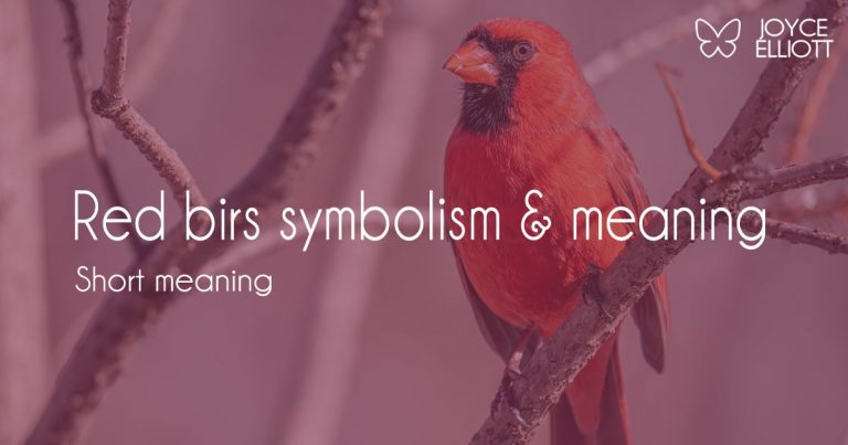 Joyce J. Elliott - Spiritual coach